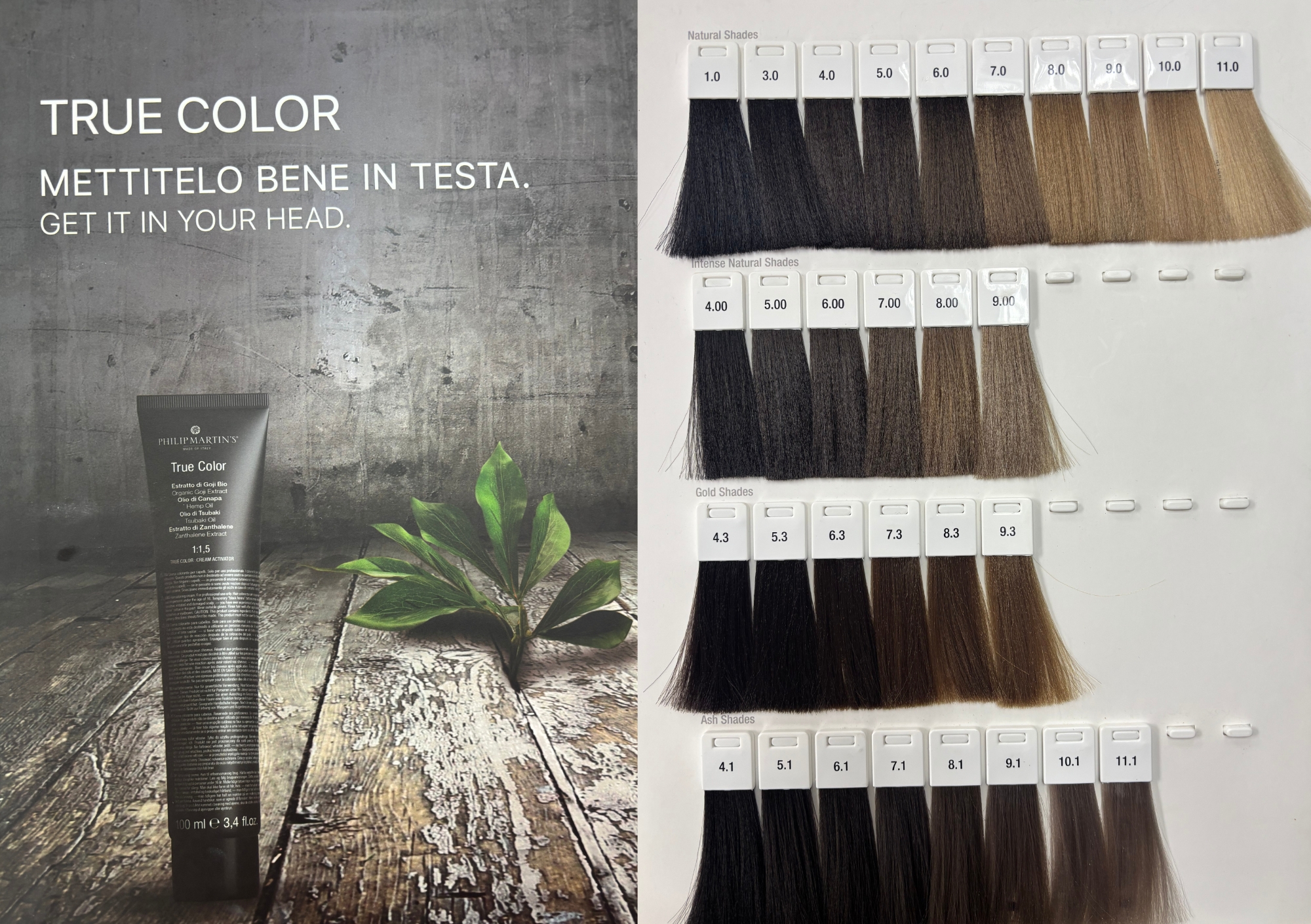 Philip Martins’s True Colour Chart – Rapple